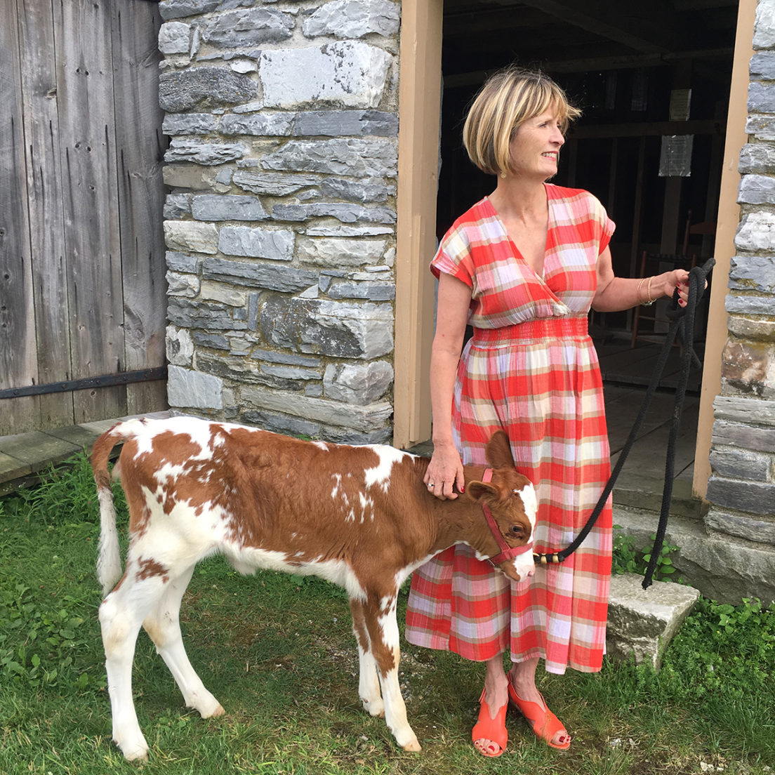 Will Call #71: Jennifer Trainer on Museum Town – The Greylock Glass